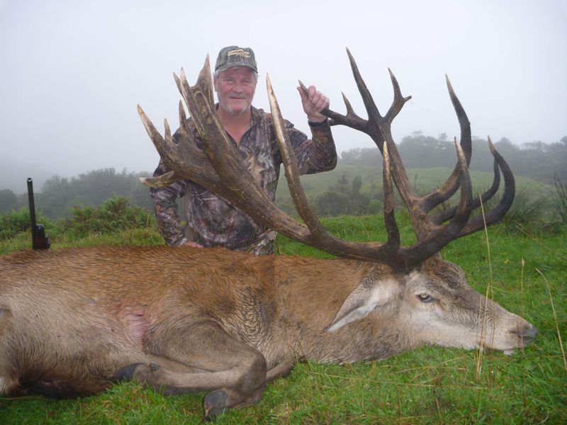 Red Stags - Mungunui Hunting Lodge