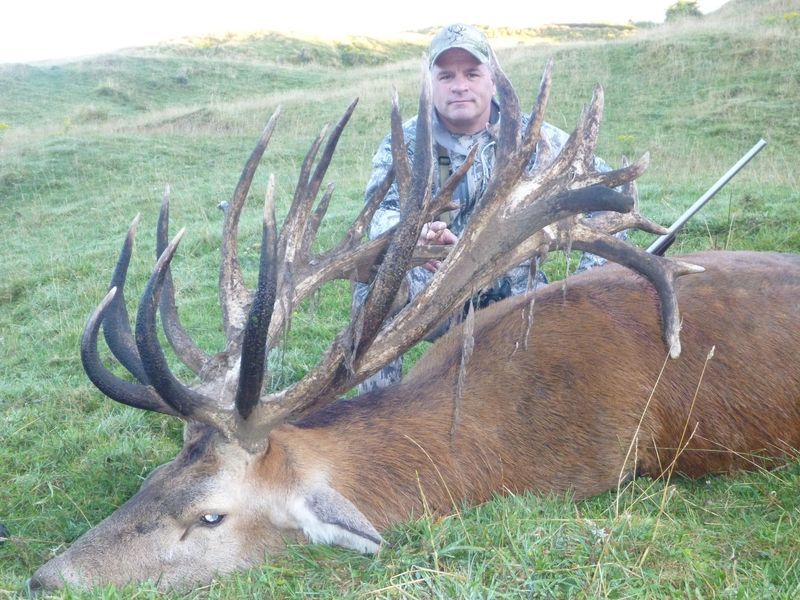 Red Stags - Mungunui Hunting Lodge